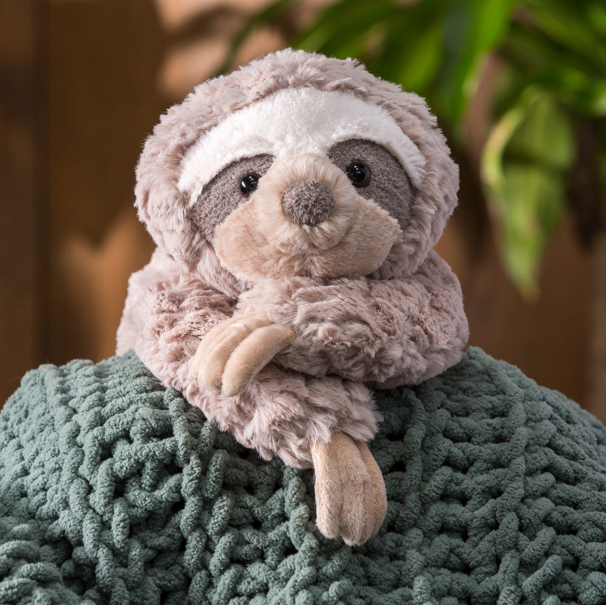 Rio Putty Sloth – Skal Moon Boutique